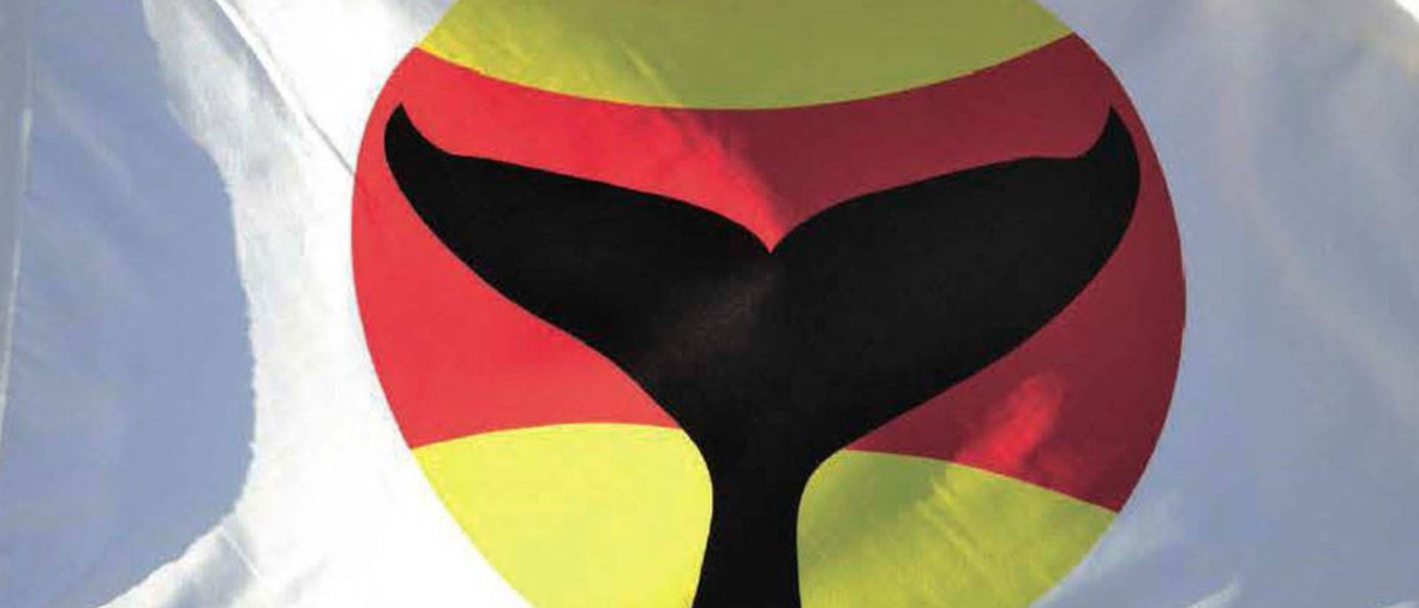 Help Our Southern Residents: The Orcas