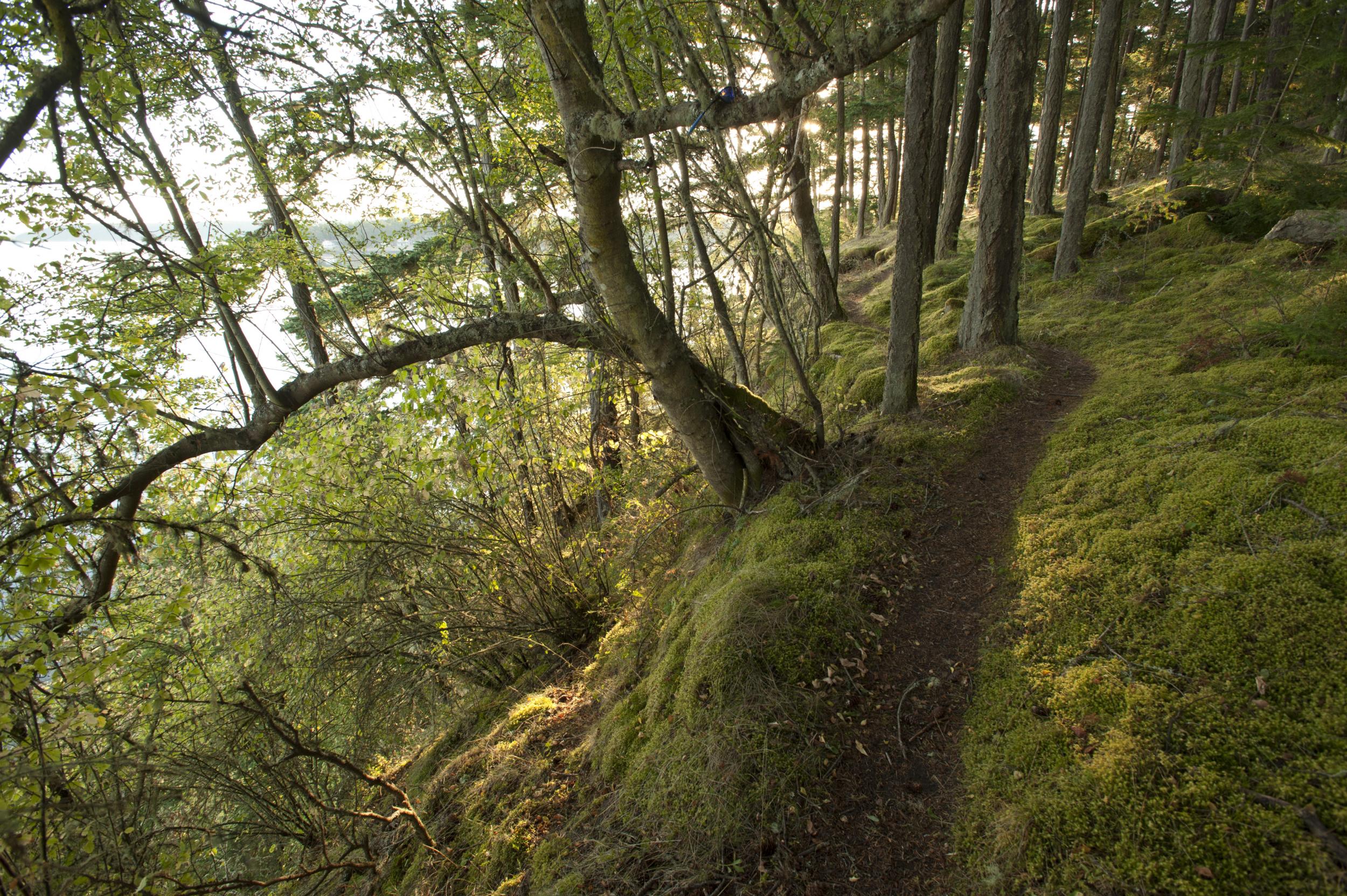 The Best Hikes Trips On San Juan Island