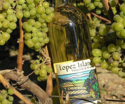 Day Trip to Lopez Island