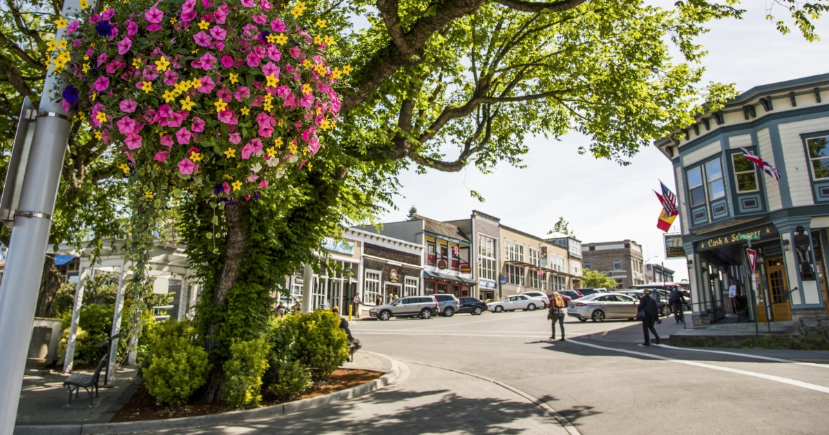 Day Trip Information