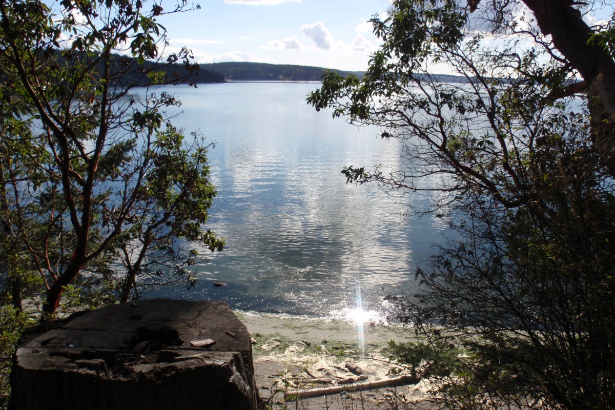 Calendar Events In The San Juan Islands