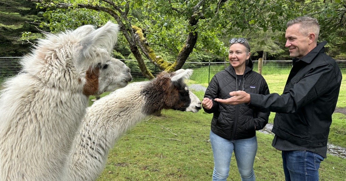 Animal Shelters and Sanctuaries